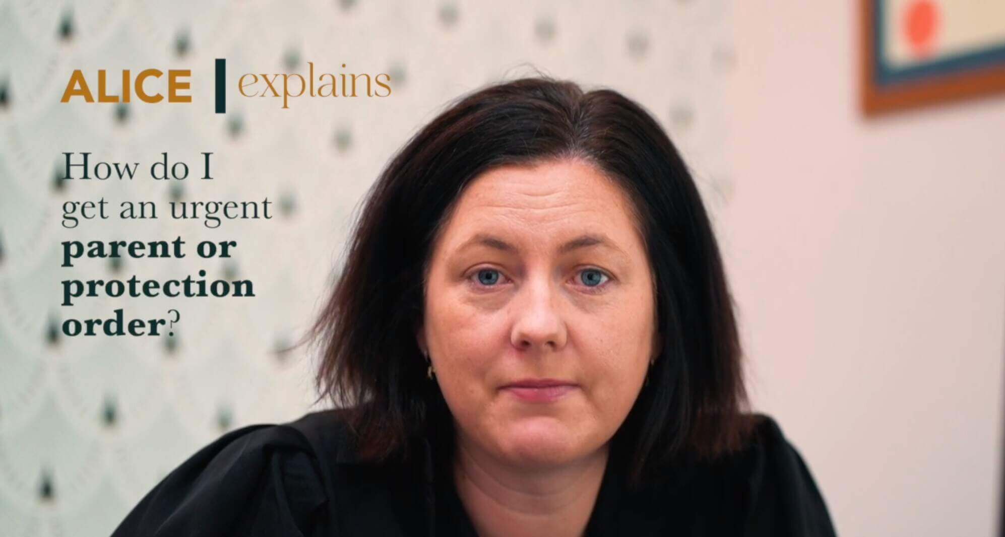 Protection Order - Taranaki Law